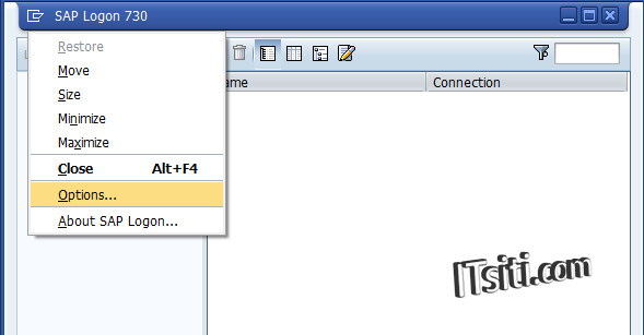 Backup & Restore SAP Logon Connection Entries to Another Laptop/PC